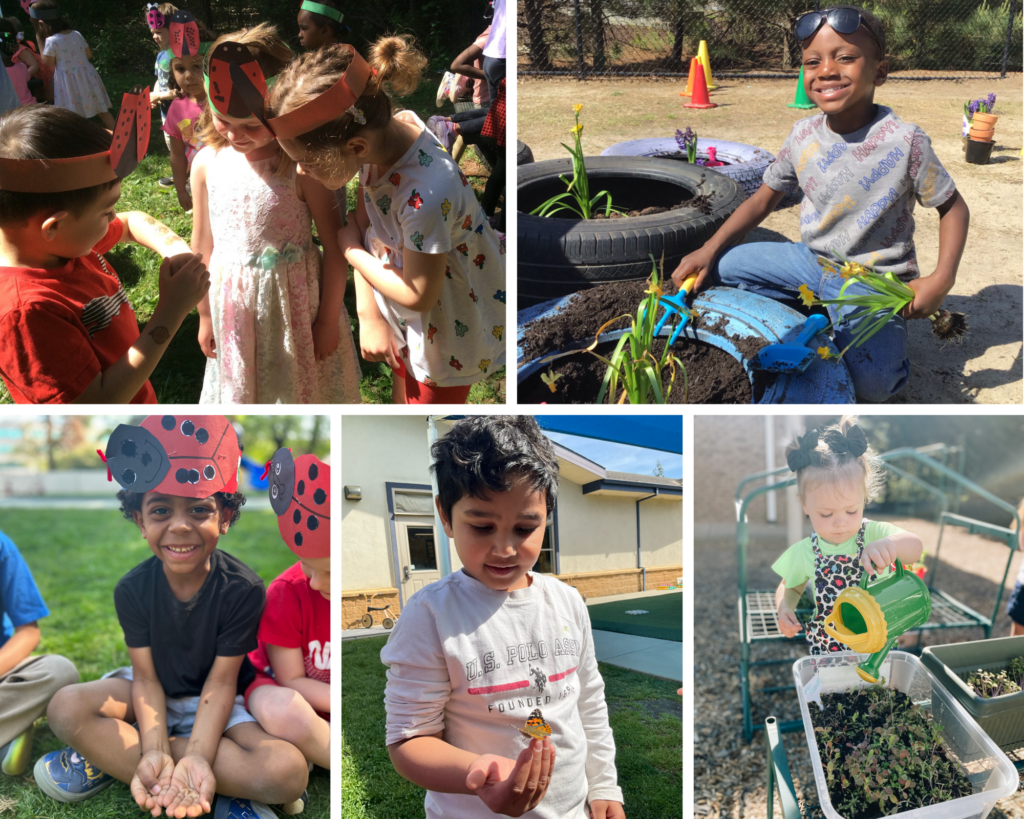 Spring Education Group Students Play Their Part in Protecting The ...